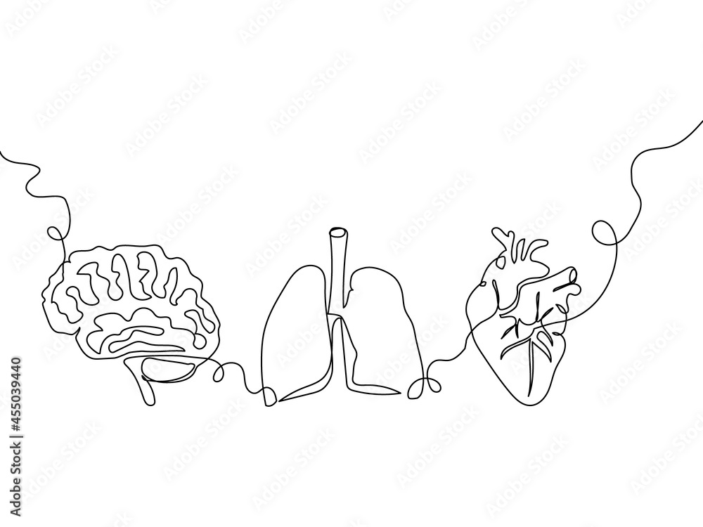 Human internal organs one line set art. Continuous line drawing of ...