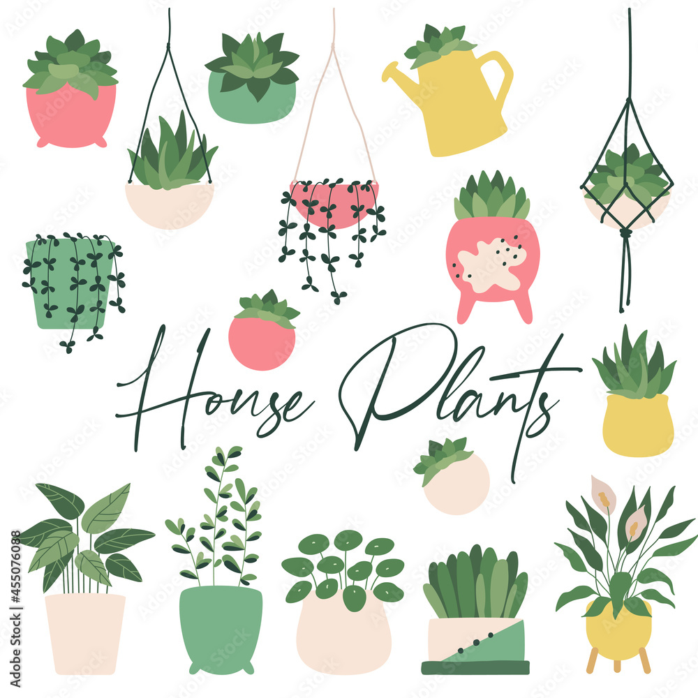 Houseplants set. Indoor Plants. Cacti, Succulents in pots. Cute Cactus ...