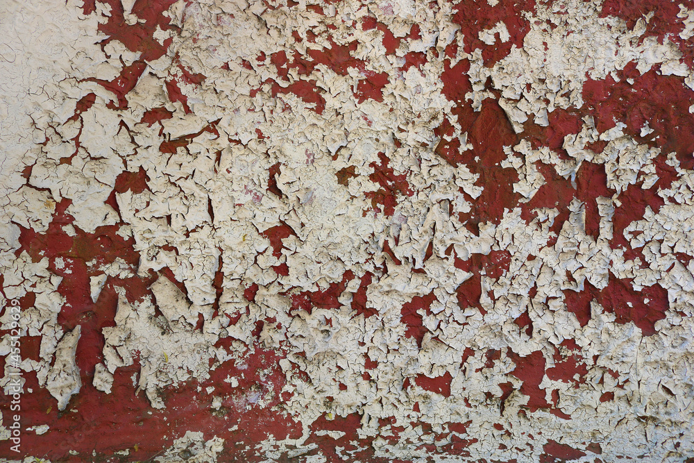 creepy wall with peeling red paint and chipped showing the white surface below - rough texture ...