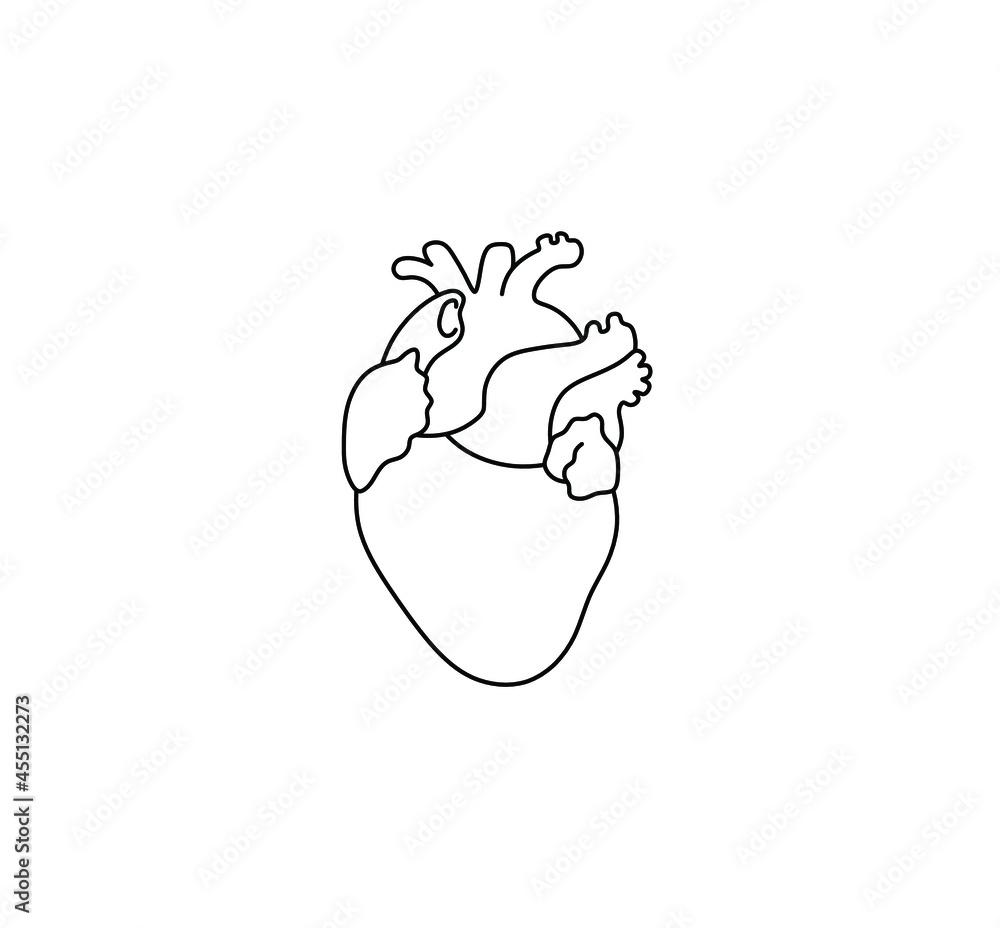 Vector isolated human realistic heart line drawing. Contour black line ...