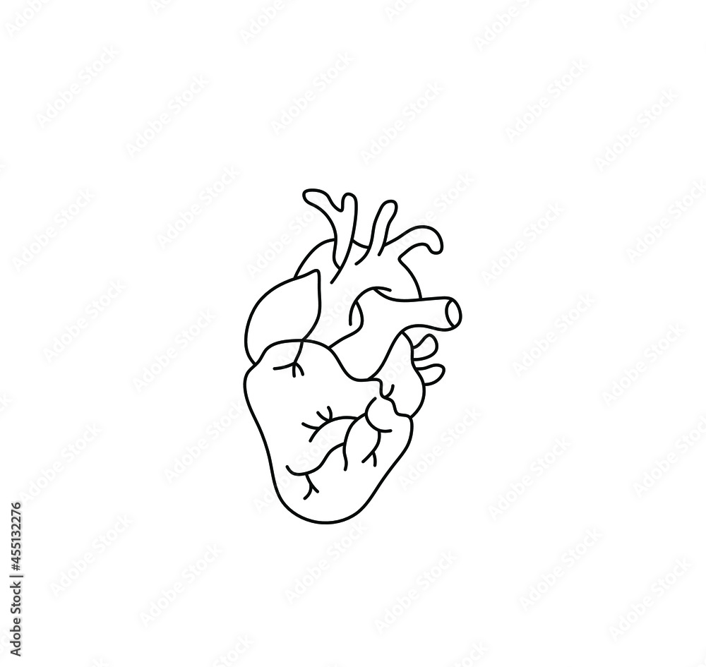 Vetor de Vector isolated realistic human heart contour line drawing ...