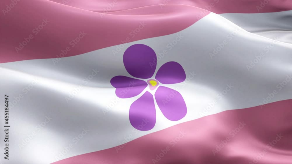 Rainbow Sapphist Pride Flag video waving in wind. Sapphic LBPQ Lesbian ...