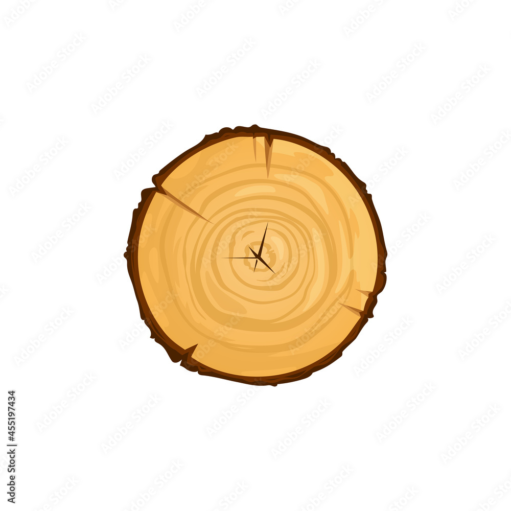 Wood texture wavy ring slice of tree isolate stump top view flat ...