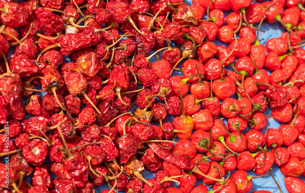 Picture of spicy Bhutanese red chilli or mirch with super chilli ...