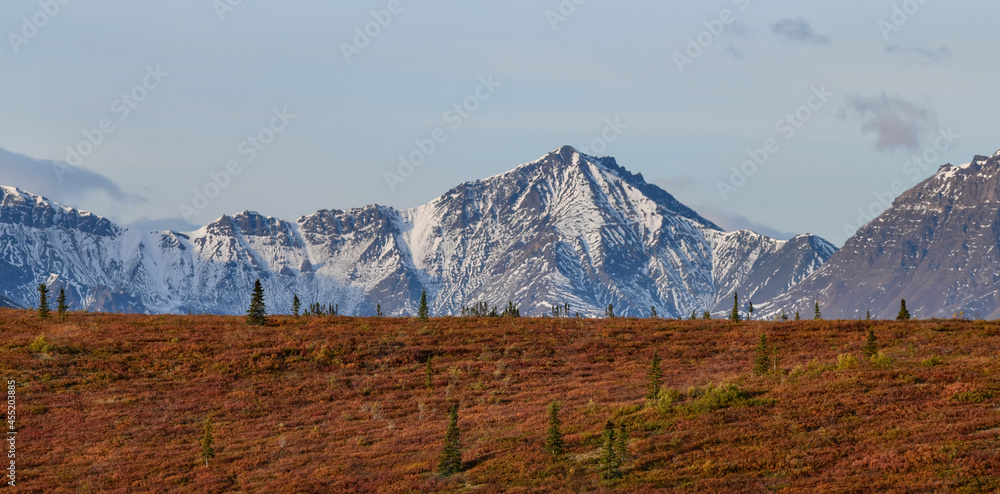 Alaska Range mountains rise above the tundra in Denali National Park ...