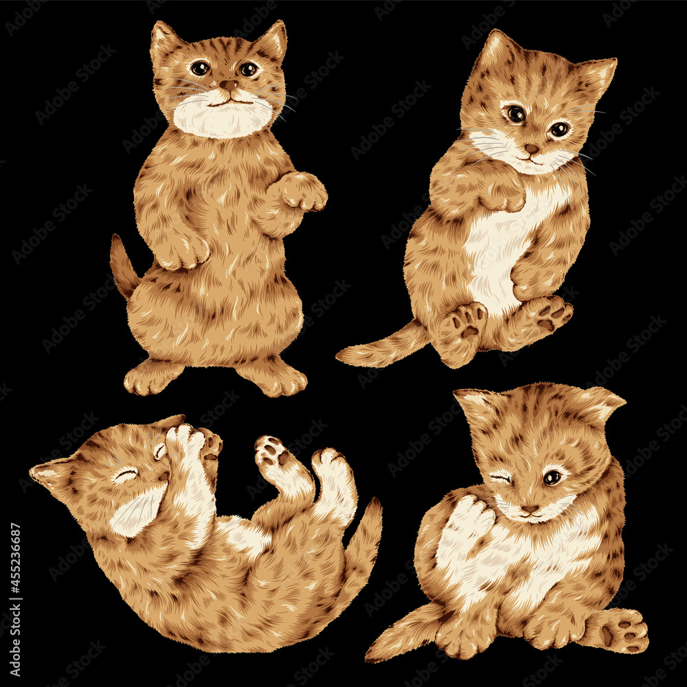 Cute and realistic cat vector illustration, Stock Vector | Adobe Stock