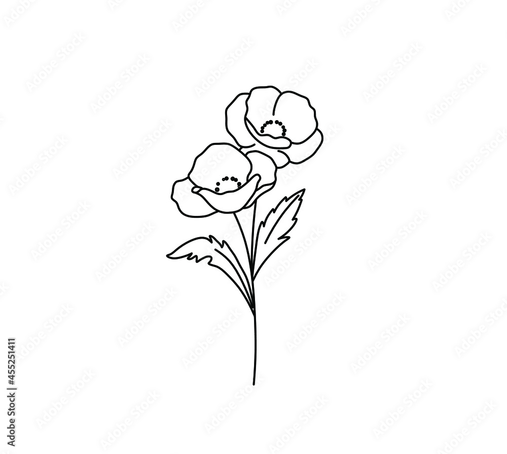 Vector isolated poppy flower line drawing. Colorless black and white ...