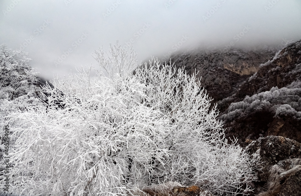 Earth watching, time before winter. Winter has descended from mountains ...