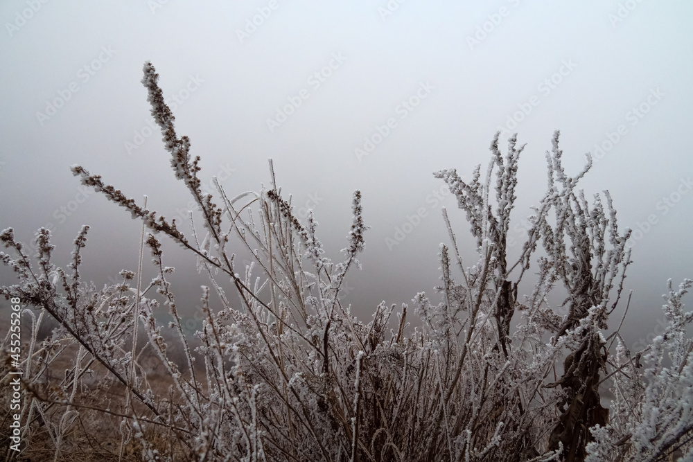 Earth watching. Icy clouds and frost-covered mountain grasses: plate ...