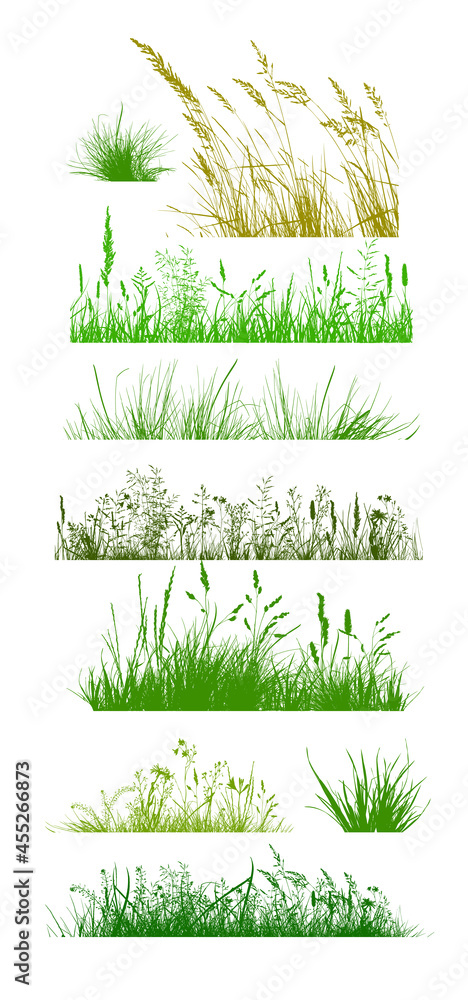 Set of grass lines. Herbal horizontal background. Vector Illustration ...
