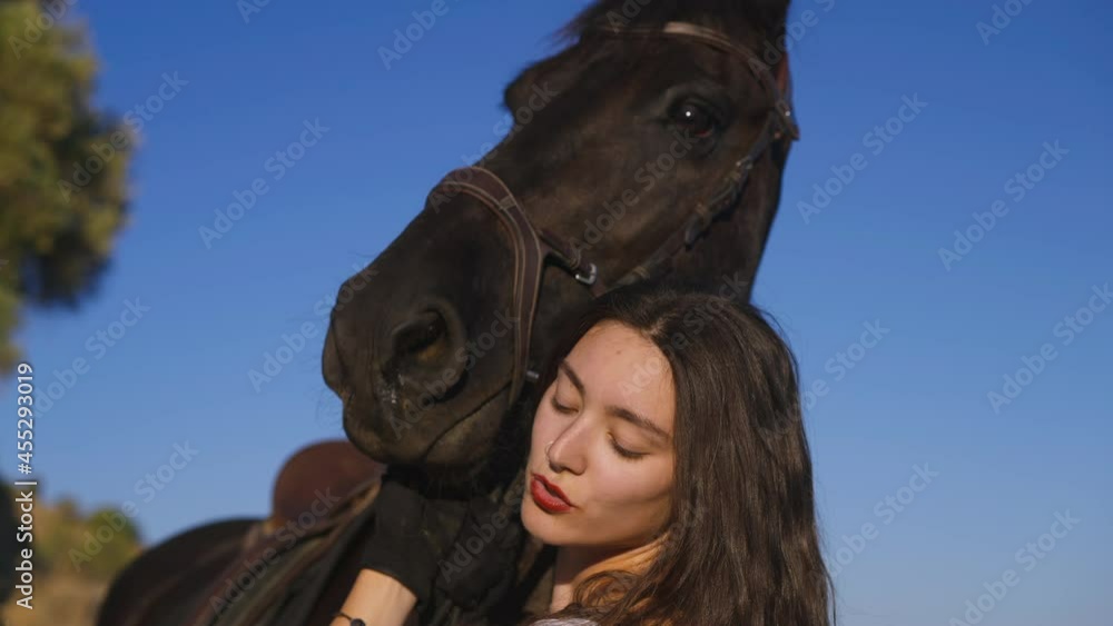 Video Stock Close-up head of graceful horse with slim beautiful ...