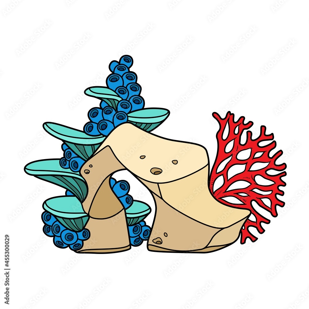 Coral polyps and anemones on sandstone color variation for coloring ...