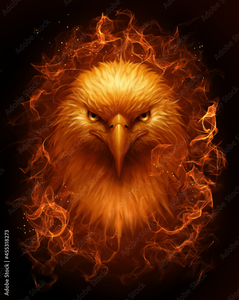 Burning bald eagle head on the dark background. Digital painting. Stock ...