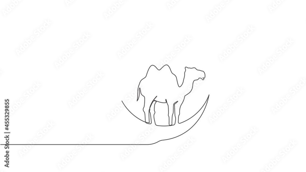 Vidéo Stock Animated self drawing of continuous line draw camel animal ...