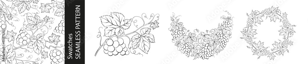 Set of different branches of grapes, seamless pattern and circle frame ...