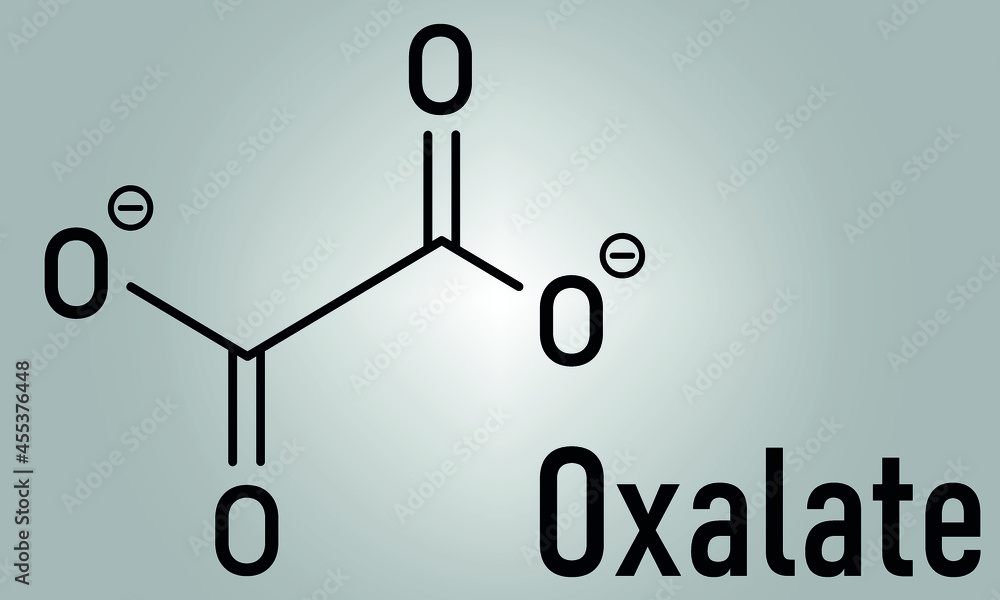 Oxalate anion, chemical structure. Oxalate salts can form kidney stones ...