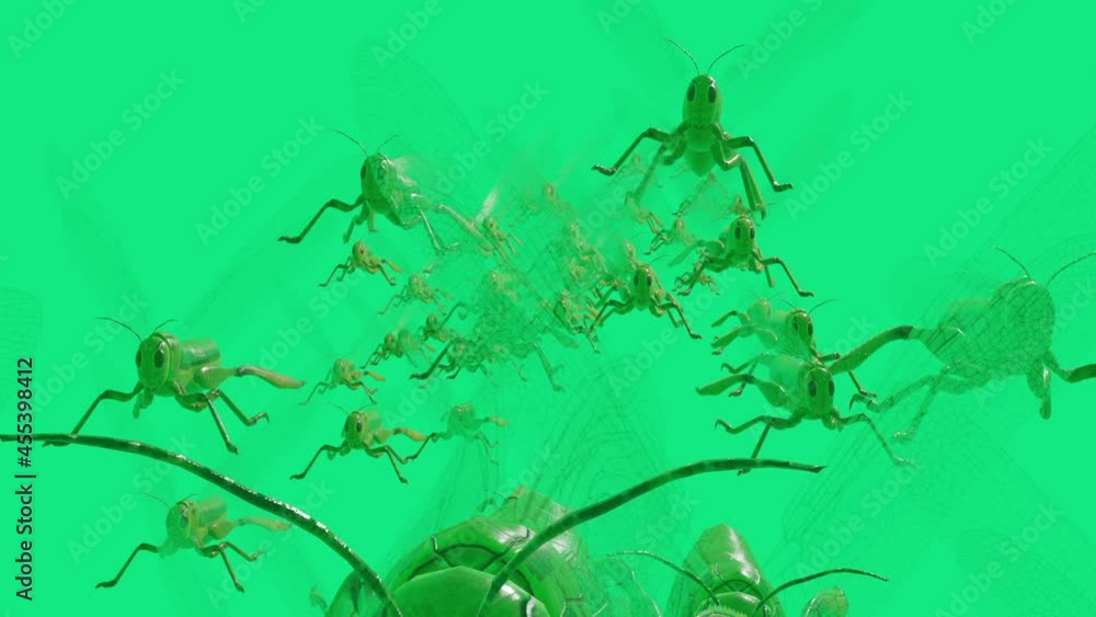 3D animation featuring a swarm of thousands of locusts flying into ...