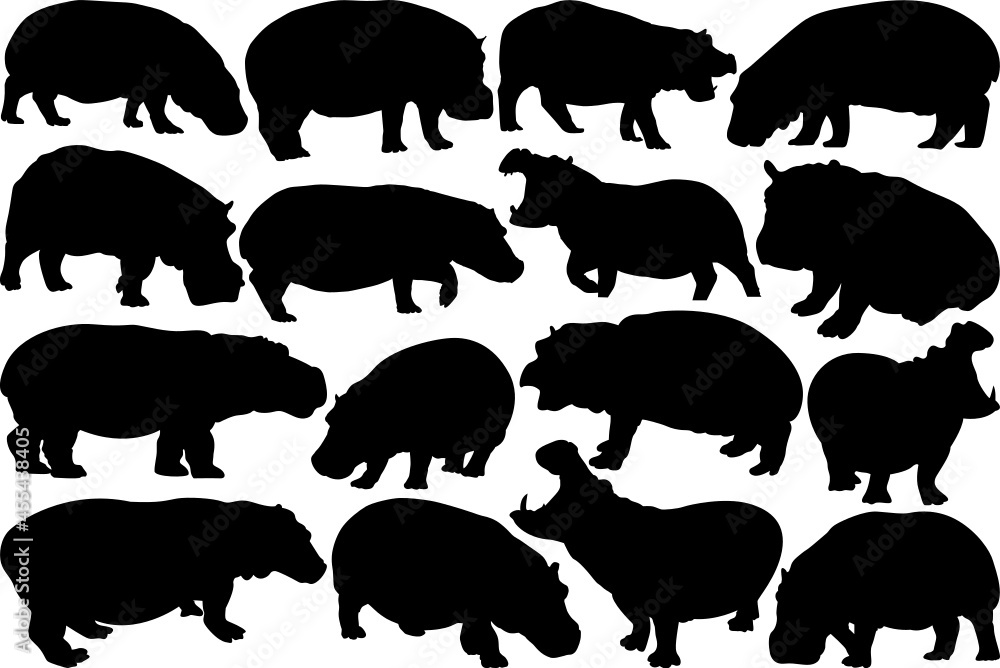 Hippo SVG Cut Files | Hippo Silhouette | Hippopotamus Svg | Morse Hippo ...