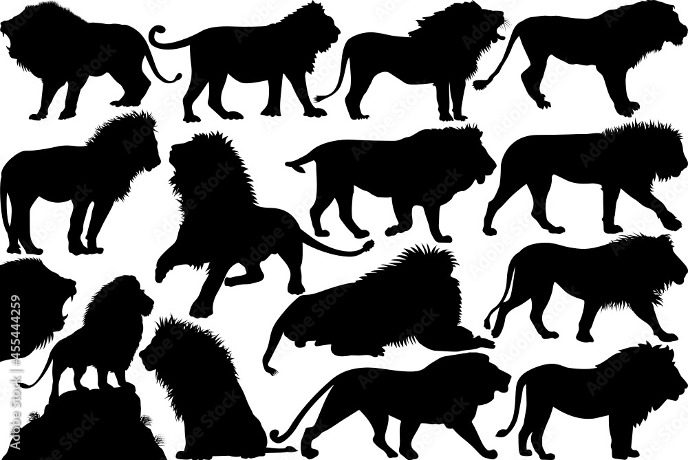Lion SVG Cut Files | Lion Silhouette | Lion Head Svg | Lions Svg | Wild ...