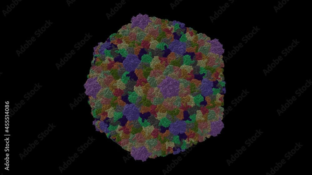 Structure of the Sputnik virophage, animated 3D cartoon and Gaussian ...