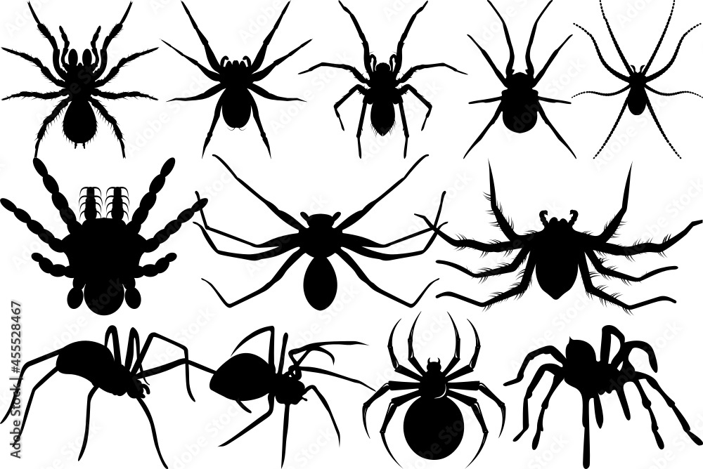 Spider SVG Cut Files | Spider Silhouette | Arachnid Svg | Spider Web ...
