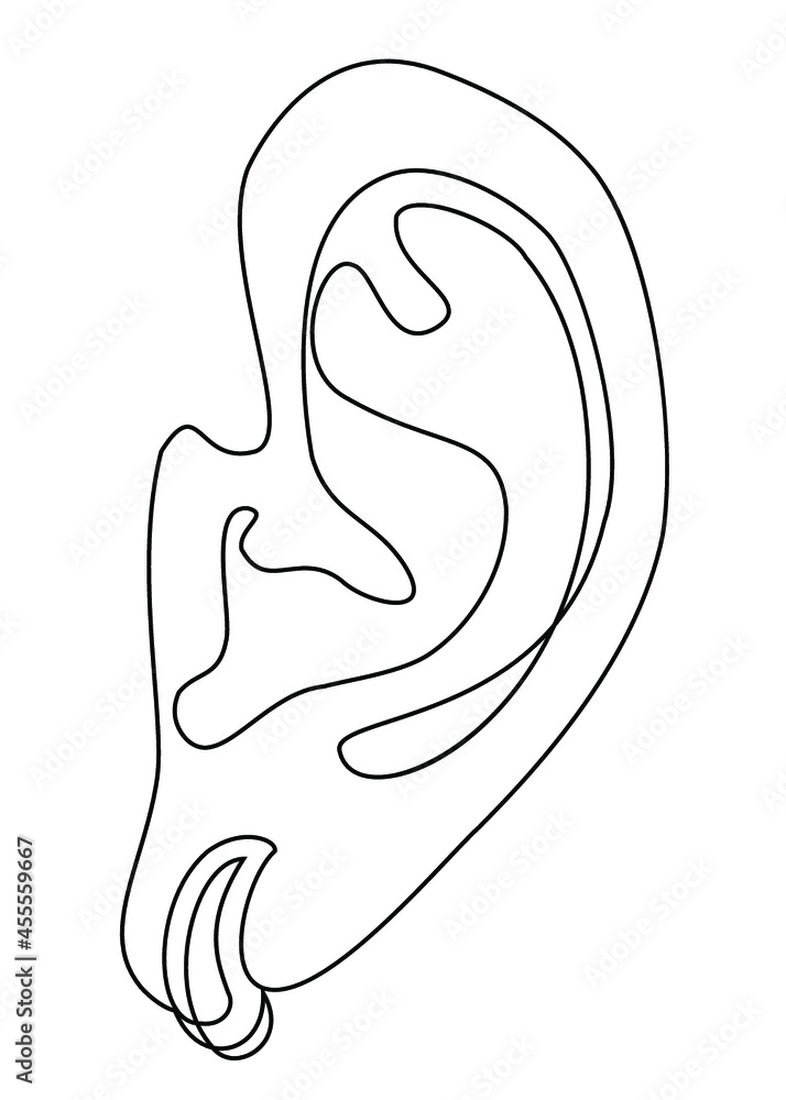 Human ear silhouette and earrings in modern style with one solid line ...