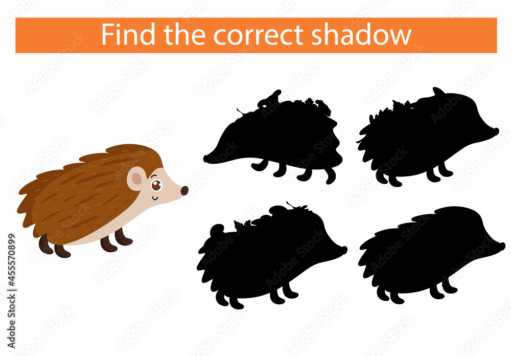 Cartoon hedgehog. Find the right shadow. Vector, cartoon style. Stock ...