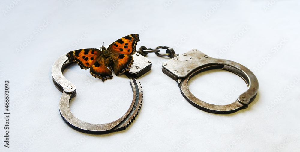Background, banner with open handcuffs and a flying butterfly. The ...