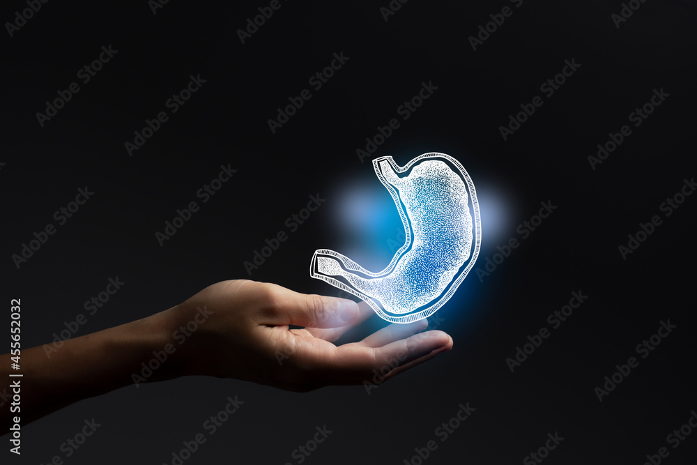 Aesthitic handdrawn illustration of human stomach highlighted blue ...