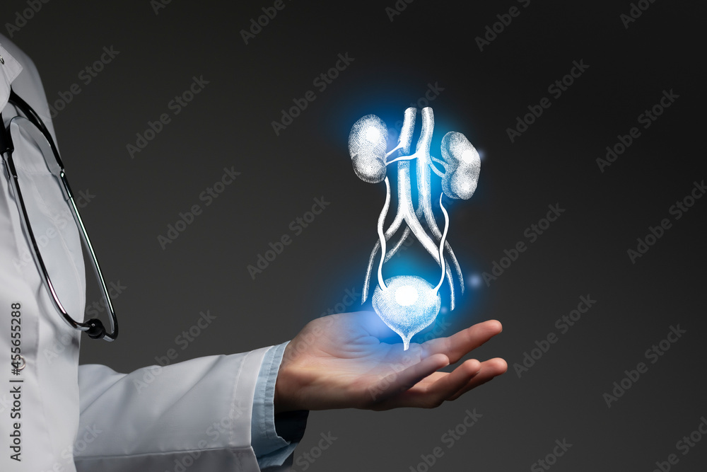 Nephrologist doctor, renal system specialist. Aesthetic handdrawn ...