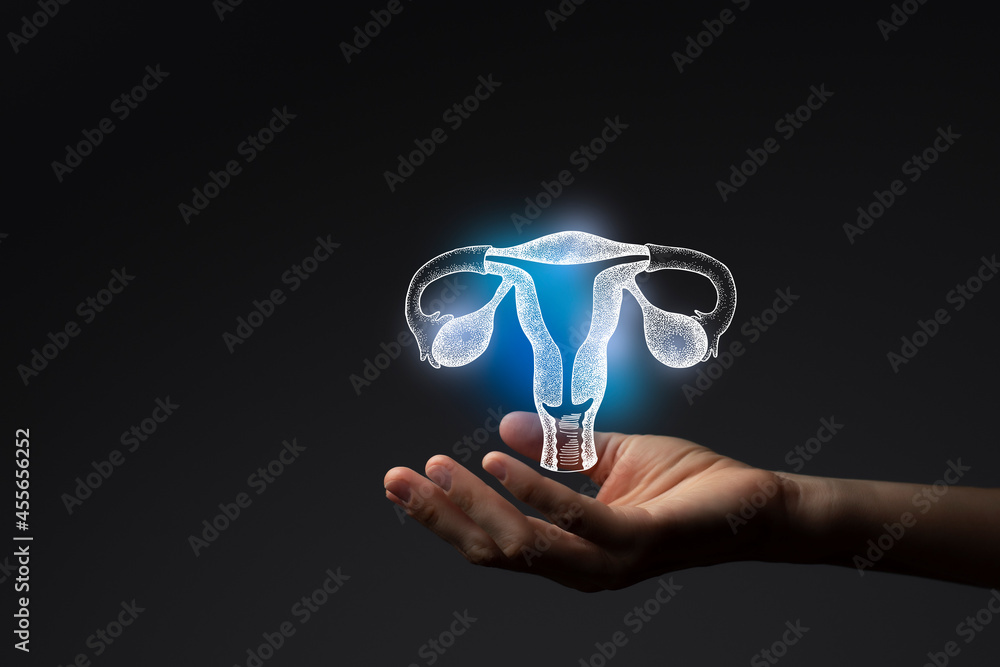 Aesthitic handdrawn illustration of human uterus highlighted blue ...