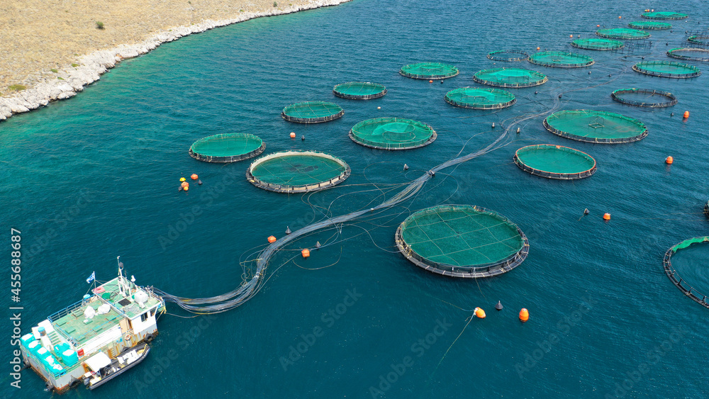 Aerial drone photo of latest technology auto feeding fish farming ...