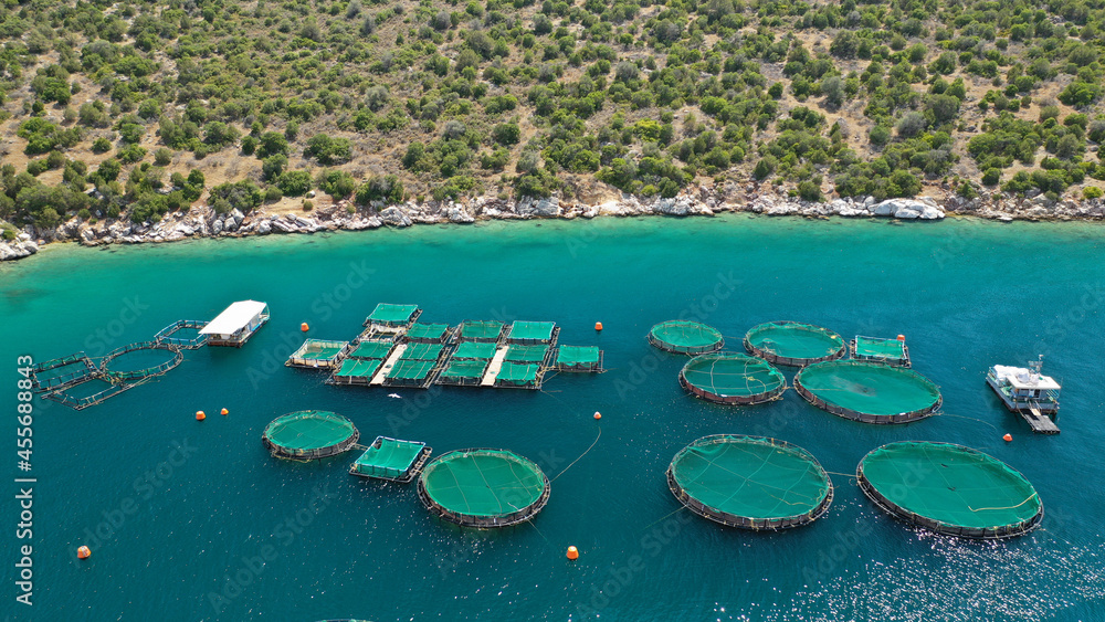 Aerial drone photo of large fish farming - breeding unit of sea bass ...