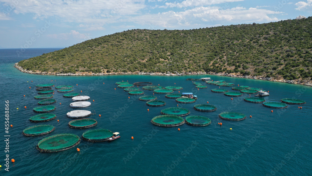 Aerial drone photo of large fish farming - breeding unit of sea bass ...