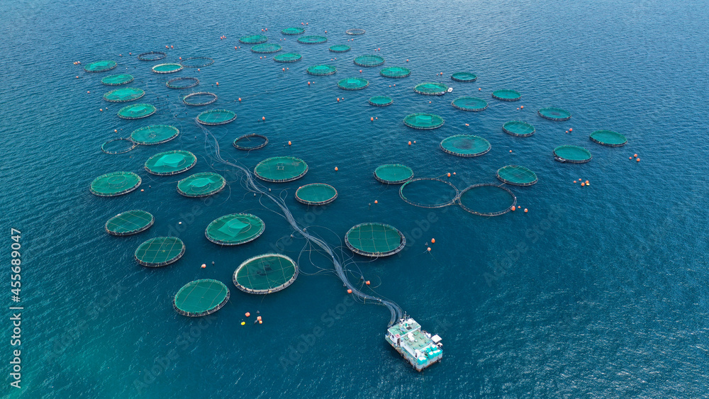 Aerial drone photo of large fish farming - breeding unit of sea bass ...