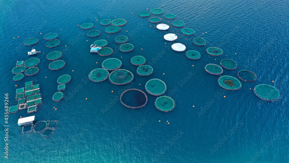 Aerial drone photo of latest technology auto feeding fish farming ...