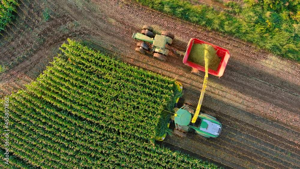 Farm machines harvesting corn, mesmerizing and magical aerial view ...
