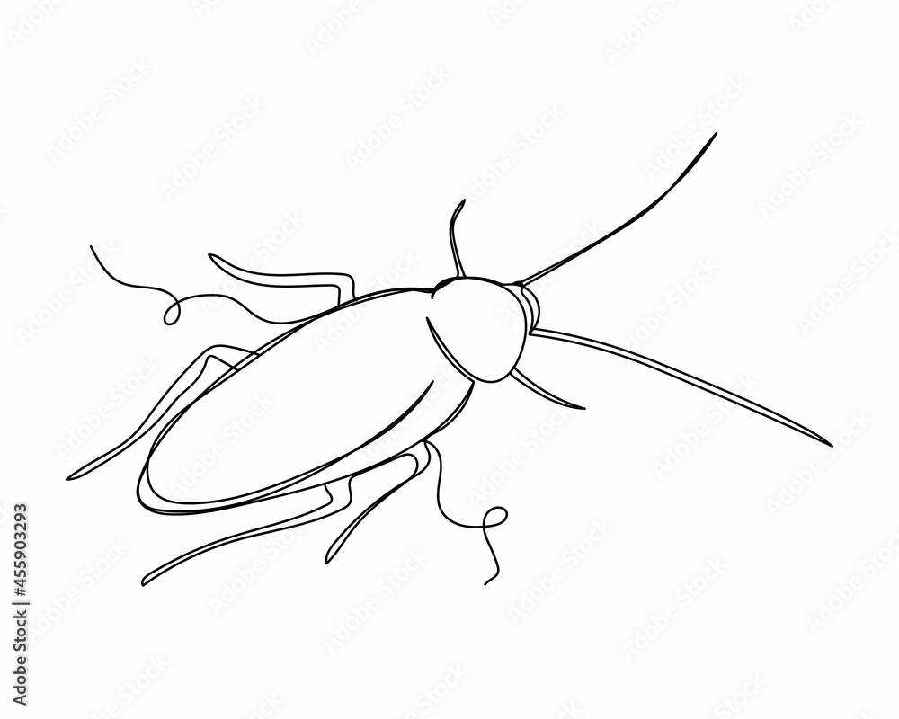 Continuous one line drawing of cockroach icon in silhouette on a white ...