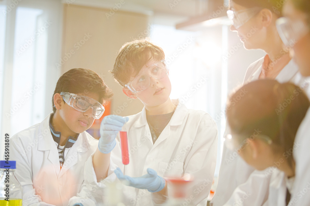 Female teacher and students examining liquid in test tube, conducting ...