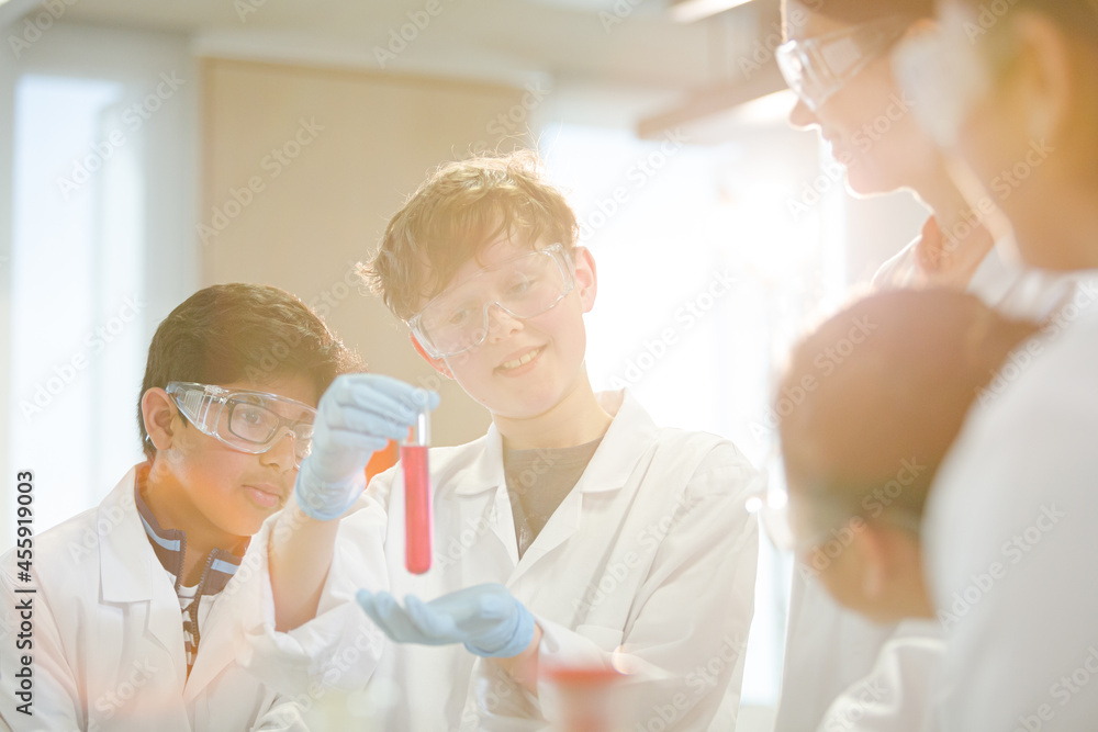 Female teacher and students examining liquid in test tube, conducting ...