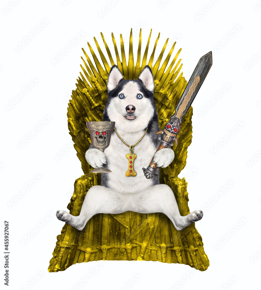 A dog husky king in a gold crown with a scepter and a sword is sitting ...