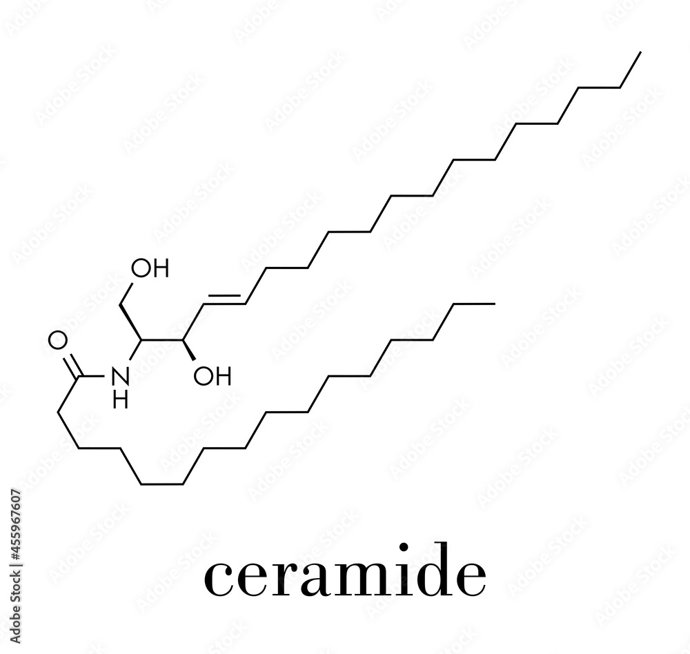 Ceramide cell membrane lipid molecule. Skeletal formula. Stock Vector ...