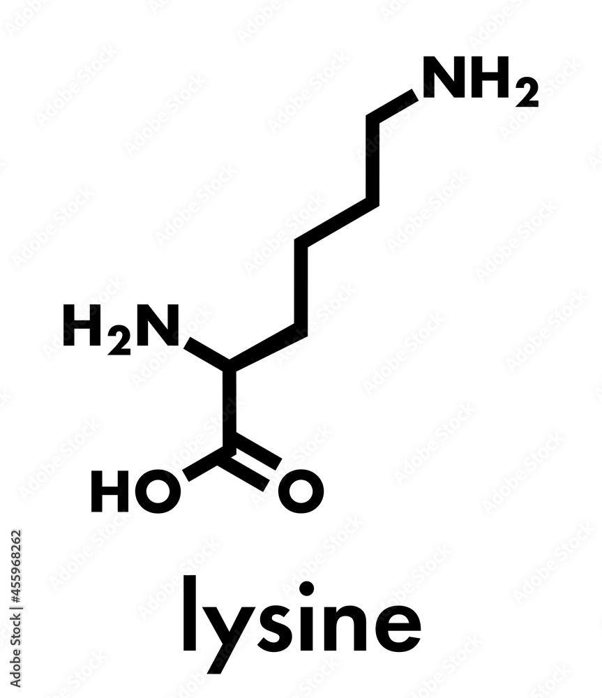 Lysine (l-lysine, Lys, K) amino acid molecule. Skeletal formula. Stock ...