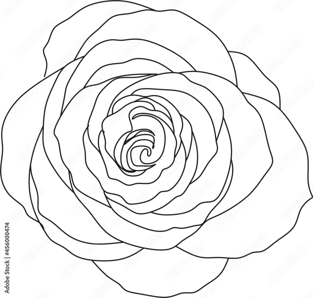 Rose line drawing. Rose line art Stock Vector | Adobe Stock
