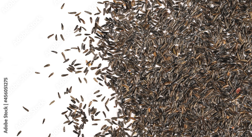 Pile bird niger seed (Guizotia abyssinica) isolated on white background ...