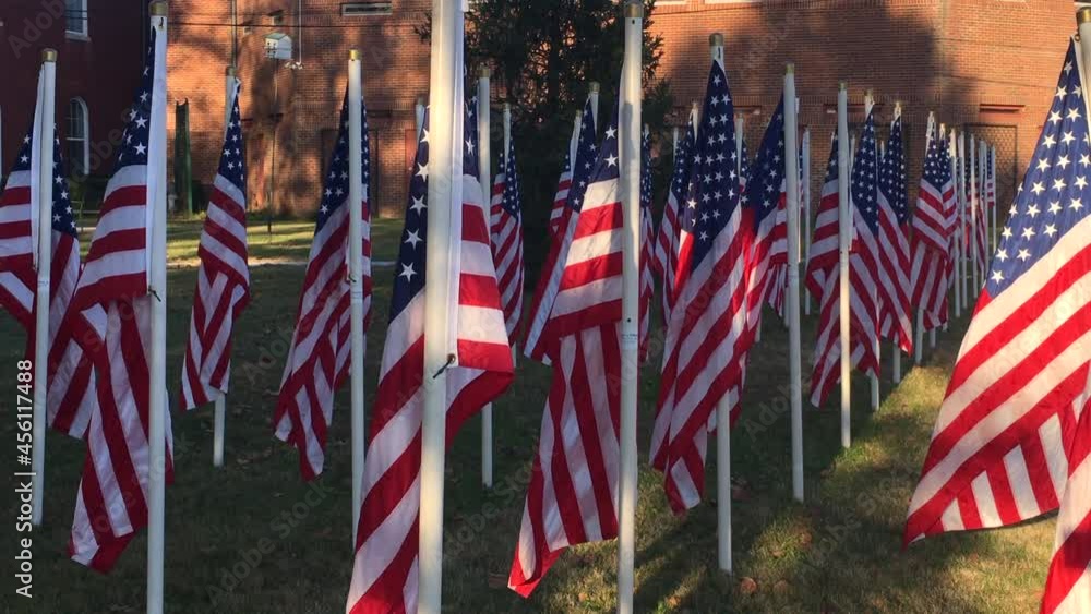 Rows of 4 foot high American flags rustled by breeze during afternoon ...