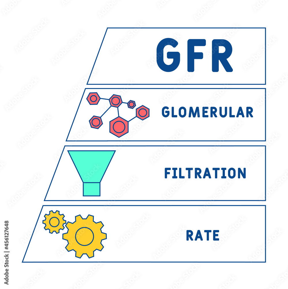 GFR - Glomerular Filtration Rate acronym. medical concept background ...