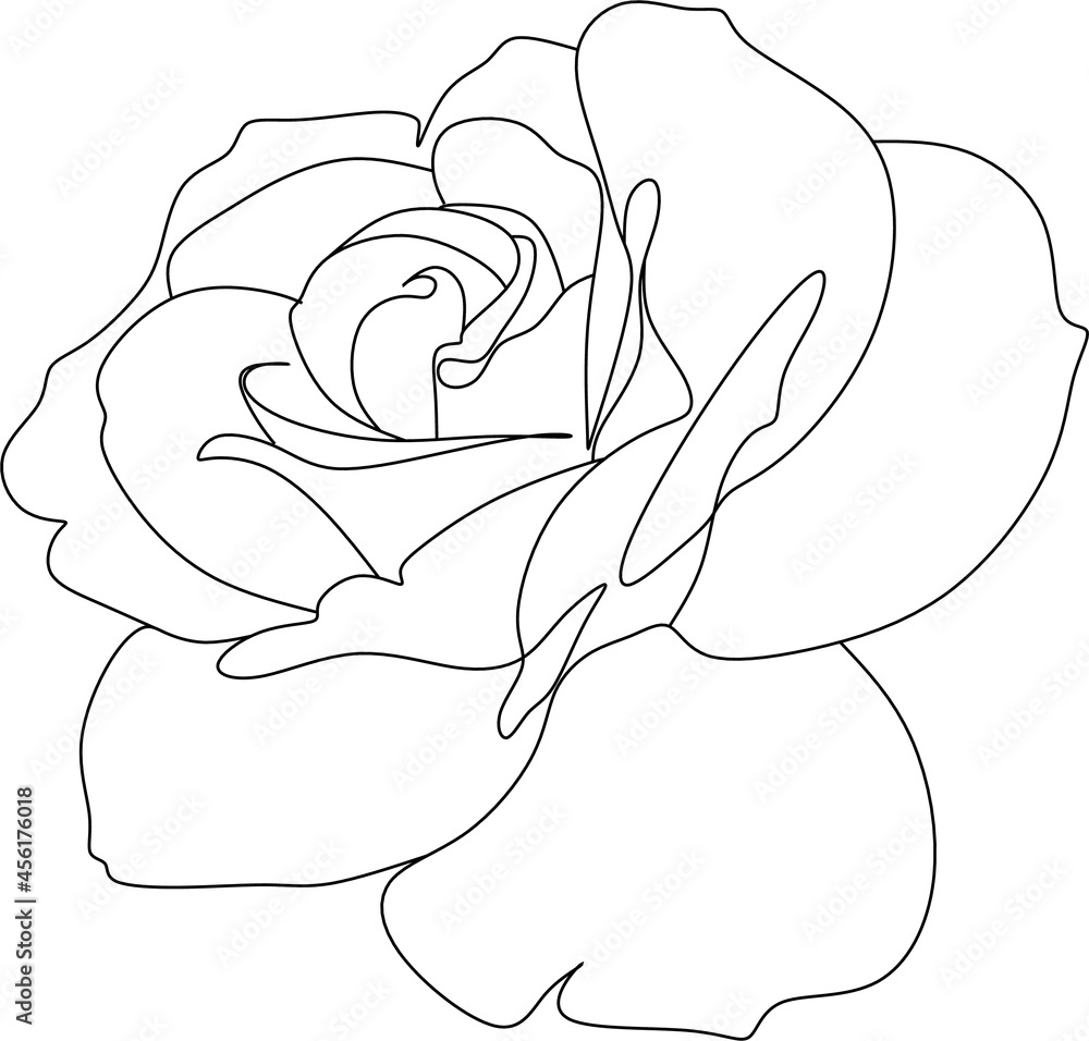 Rose line drawing. Rose line art Stock Vector | Adobe Stock