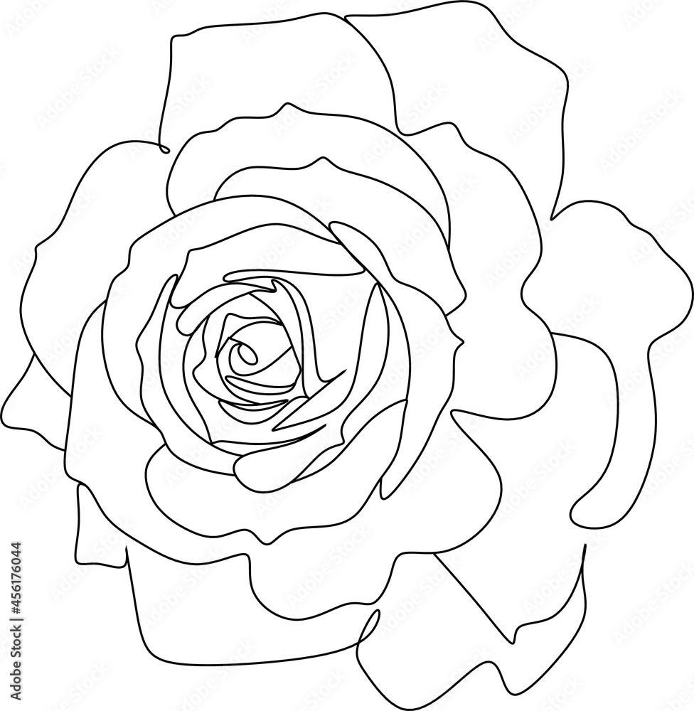 Rose line drawing. Rose line art Stock Vector | Adobe Stock
