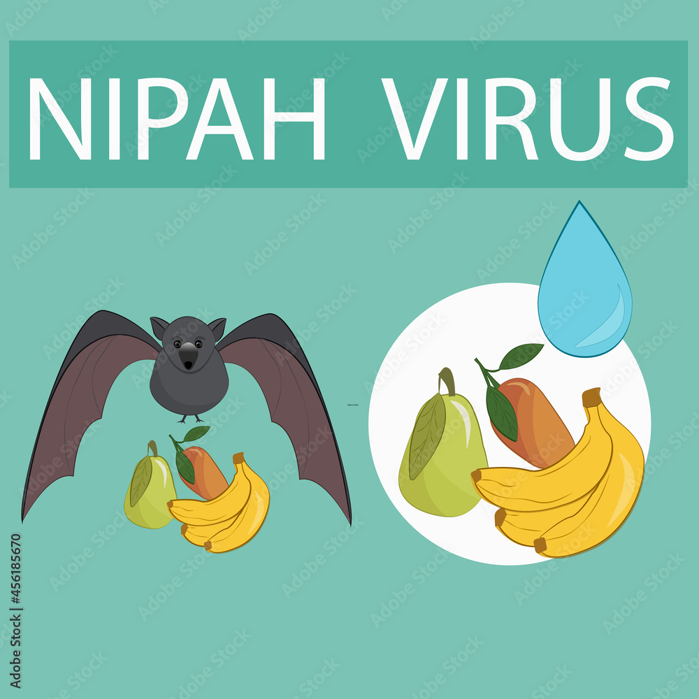 Infection caused by the nipah virus (niv), which is a dangerous virus ...